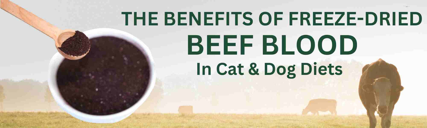 The Benefits of Freeze-Dried Beef Blood in Pet Diets – Raw Dog Barkery