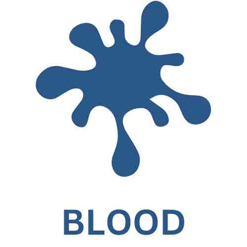 BLOOD – Raw Dog Barkery